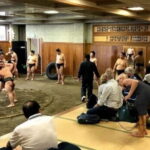 Tokyo: Private Tour & Sumo Wrestler Morning Practice Viewing - The Post-Practice Walking Tour