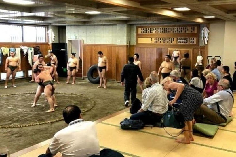 Tokyo: Private Tour & Sumo Wrestler Morning Practice Viewing - The Post-Practice Walking Tour