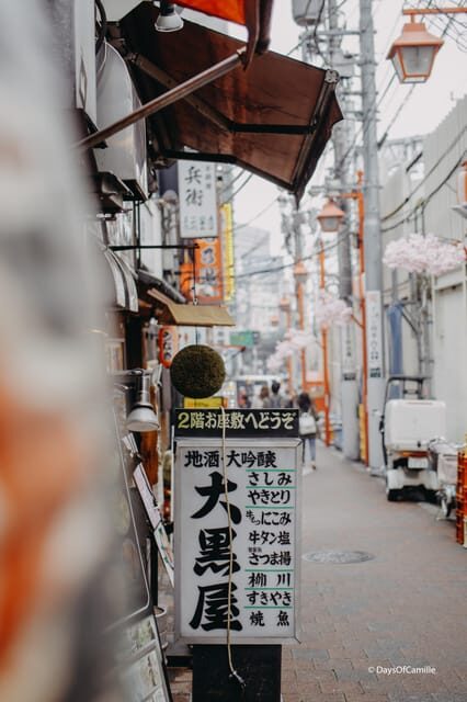 Tokyo : private tour with an expert ! - The Breakdown of the Itinerary