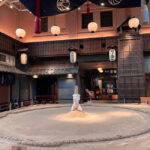 Tokyo: step into tradition, sumo wrestlers and geisha - Who Should Consider This Tour?