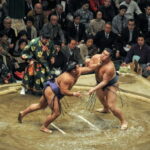Tokyo: Sumo Tournament with Guide & Assigned Reserved Seat - The Booking and Logistics: Smooth and Transparent