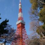 Tokyo: Top 3 Hidden Tokyo Tower Photo Spots and Local Shrine - Is This Tour Worth the Price?