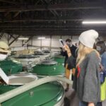 Tokyo: Toshimaya Sake Brewery Tour with Sake Tasting - The Craft of Sake-Making