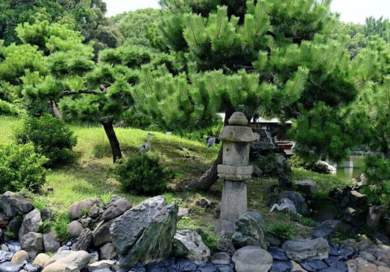 Tokyo Tour: Imperial Palace, Sake, Robots, Gardens & Museum - Exploring the Itinerary in Detail