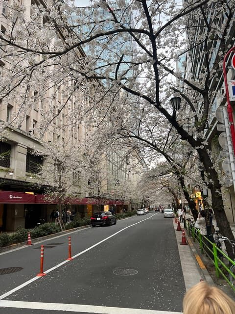 Tokyo Tour with Private Vehicle and English Speaking Guide - The Practicalities: What to Know
