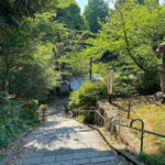 Tokyo: Ueno Park and Ameyoko Street Walking Tour - An Honest Look at the Itinerary