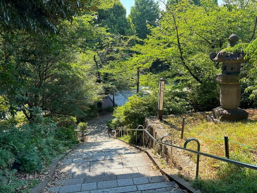 Tokyo: Ueno Park and Ameyoko Street Walking Tour - An Honest Look at the Itinerary