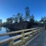 Tokyo walking tour around Imperial Palace and Tokyo Station - Who Is This Tour Best For?
