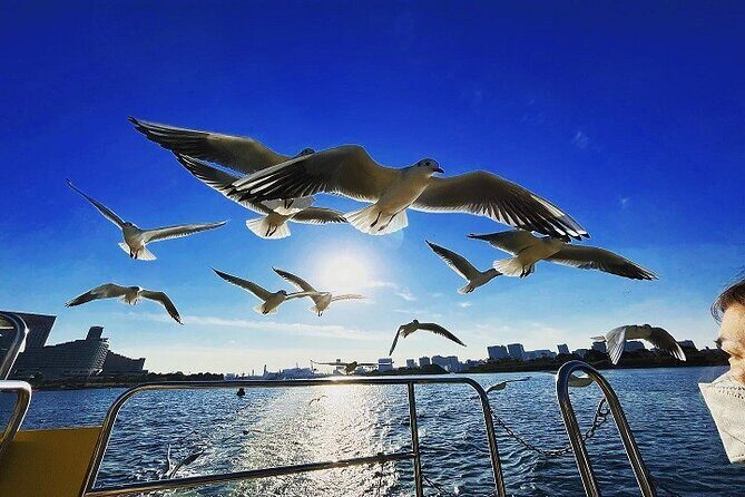Tokyo Water Taxi Heritage Tour - Final Thoughts: Is This Tour for You?