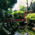 Tokyo: We love Shibuya, Hachiko and the lucky cat temple - A Serene Escape: Gotoku-ji Temple and the Lucky Cat