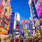 Tokyo: Winter Illuminations Private Tour with a Local - FAQ