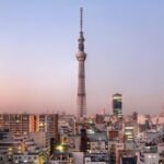 Tokyo: Yakatabune Private Lunch/Dinner cruise - Key Points