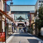 Tokyo:A cultural journey and a little bar hopping in izakaya - Visiting Famous Temples and Local Shrines