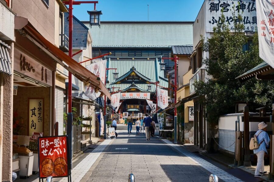 Tokyo:A cultural journey and a little bar hopping in izakaya - Visiting Famous Temples and Local Shrines
