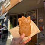 Tokyo:An Unique temple Walking Tour for cat lovers - What to Expect During the Tour