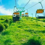 Tokyo:Izu Penisula Train Mt Omuro, Capybara Sightseeing Trip - Exploring the Izu Coast and Kadowaki Suspension Bridge