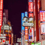 Tokyo:Luxury Private Tour with English-Speaking driver - What You Can Expect from the Experience