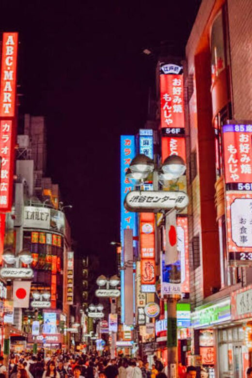 Tokyo:Luxury Private Tour with English-Speaking driver - What You Can Expect from the Experience