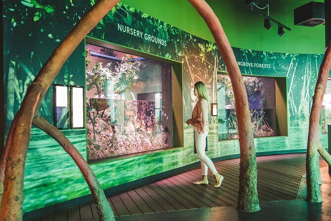 Tomb of the Pharaohs and Cairns Aquarium Combo - What We Love About This Tour