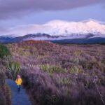 Tongariro National Park: Pre-Sunset Guided Walking Tour - Final Thoughts