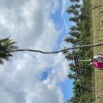 Tongatapu West Coast N East Coast Island Tour - FAQs