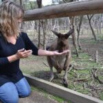 Toowong Cemetery Ghost Tour - The Other Side - Final Thoughts
