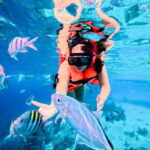 Top Experience: Snorkel & Beach Club All Inclusive / Open Bar & Lunch - The Heart of the Experience: Snorkeling and Marine Life