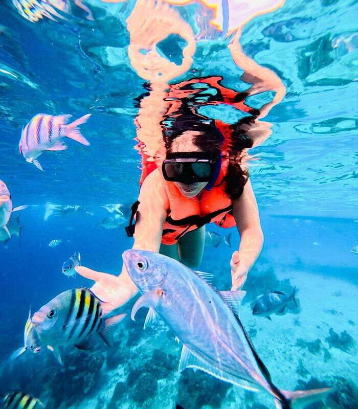 Top Experience: Snorkel & Beach Club All Inclusive / Open Bar & Lunch - The Heart of the Experience: Snorkeling and Marine Life