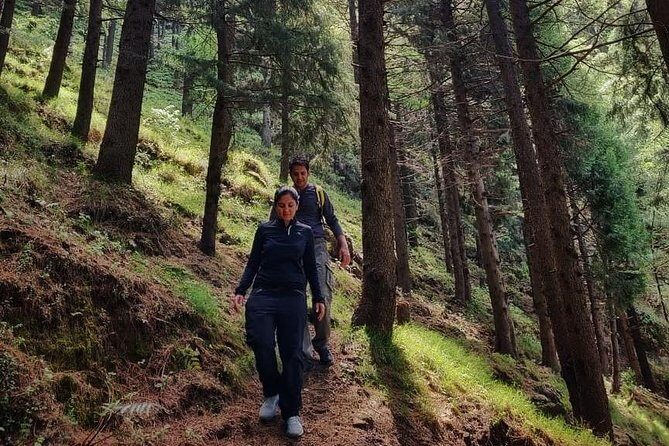 Top Tibba Trek - Mussoorie - Who Will Love This Trek?