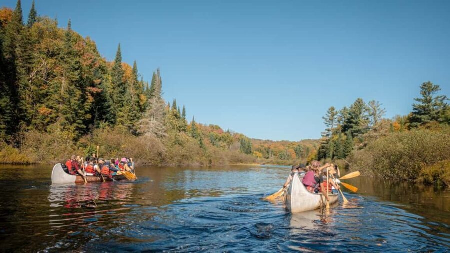Toronto: Algonquin Park and Ragged Falls Day Trip - Who Is This Tour Best Suited For?