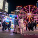 Toronto: Festive Lights Bus Tour - The Experience in Context