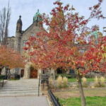 Toronto: Highlights Drive and Walking Tour - The Distillery District: Victorian Architecture at Its Best