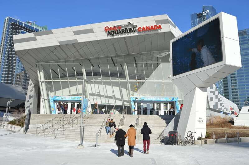 Toronto: Ripley's Aquarium of Canada Entry Ticket - Practical Tips for Visiting