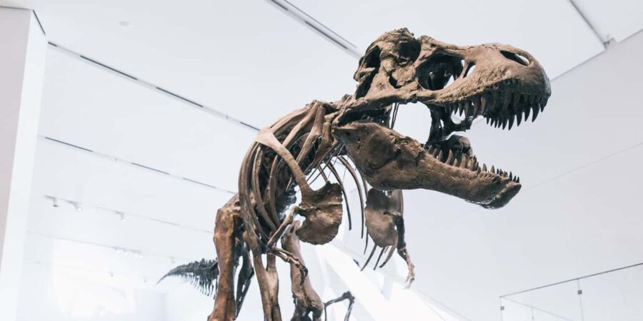 Toronto: Royal Ontario Museum Scavenger Hunt - The Itinerary: What You Can Expect