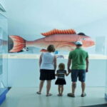 Toronto: Royal Ontario Museum Special Exhibits Voucher - The Value and Who Should Consider This Experience