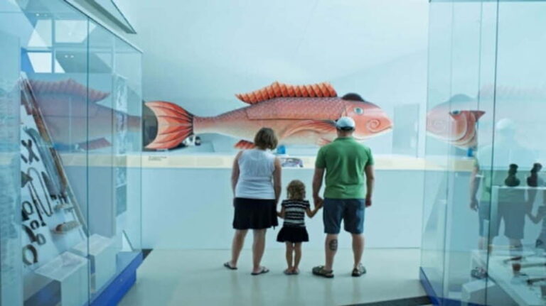 Toronto: Royal Ontario Museum Special Exhibits Voucher - The Value and Who Should Consider This Experience