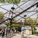 Toronto: Toronto Zoo Entry Ticket - Is the Toronto Zoo Right for You?