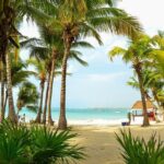 Tortugas & Cenotes Snorkel With Turtles Tour - What to Expect from the Tour: A Detailed Breakdown