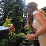 Tour and Food Tour in Osaka with Goverment Guide All incluided - Considerations and Practical Tips