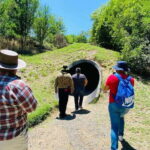 Tour "Bioparque" + Traslados + Tickets incluidos - Authentic Experiences and Traveler Impressions