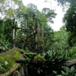 Tour: Edward James Sculpture Garden and Sótano de Huahuas - The Itinerary in Detail: What You’ll Actually Do