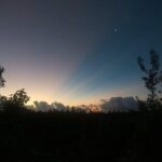Tour Herpetologico - Authentic Encounters with Wildlife