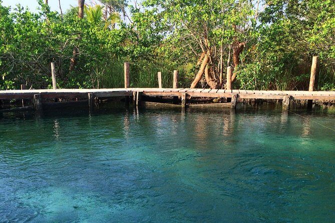 Tour Holbox - Two Island & Cenote from Cancun & Playa Del Carmen - Final Thoughts