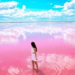 Tour Las Coloradas & Rio Lagartos only from Tulum - The Itinerary in Detail