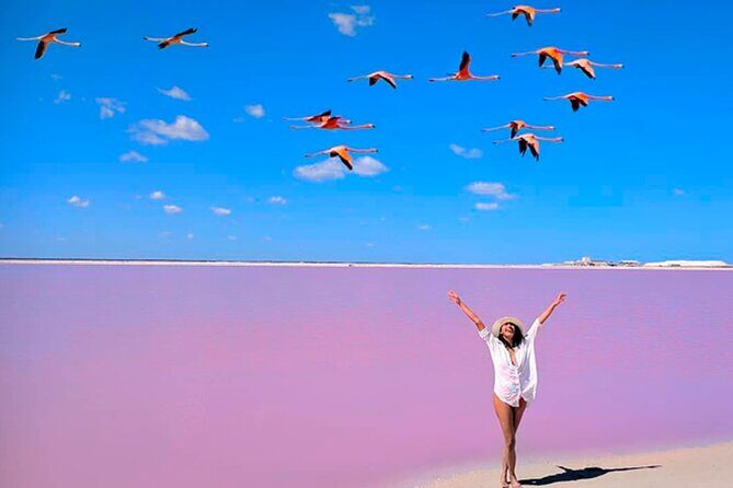 Tour Las Coloradas - Exploring the Itinerary