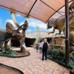 TOUR "Museo del Desierto" + Traslados + Tickets incluidos - FAQ