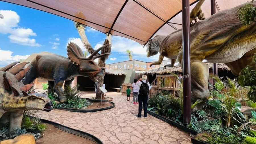 TOUR "Museo del Desierto" + Traslados + Tickets incluidos - FAQ