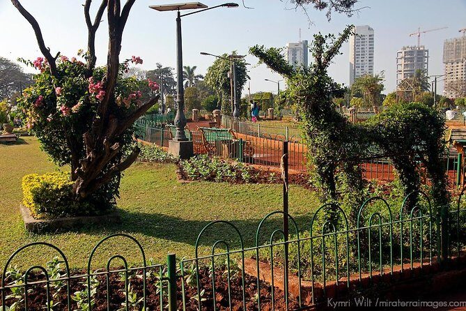Tour of Mumbai City - Who Should Consider This Tour?