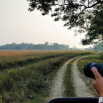 Tour of Pobitora Wildlife Sanctuary from Guwahati with Safari, Lunch and Guide - Analyzing the Value