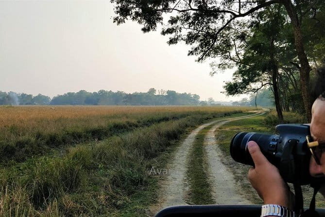 Tour of Pobitora Wildlife Sanctuary from Guwahati with Safari, Lunch and Guide - Analyzing the Value